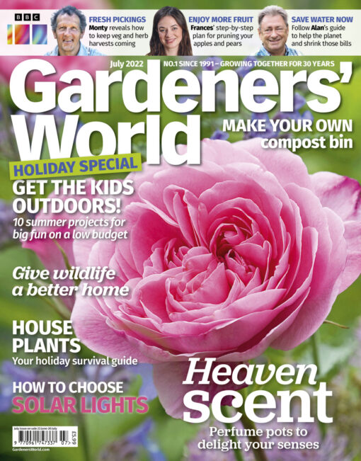Buy single copies and back issues of great magazines at Mags Direct