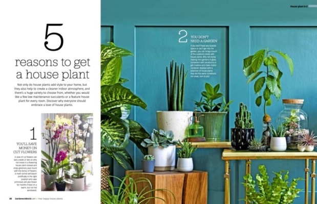 BBC Gardeners World Guide Your Happy House Plants - Mags Direct