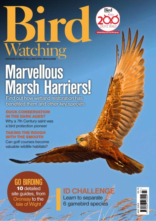 Bird Watching Magazine July 2024 - Mags Direct