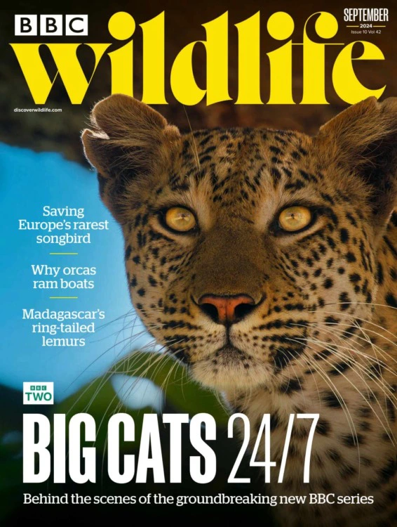 Bbc Wildlife Magazine BBC Wildlife Magazine Front Cover