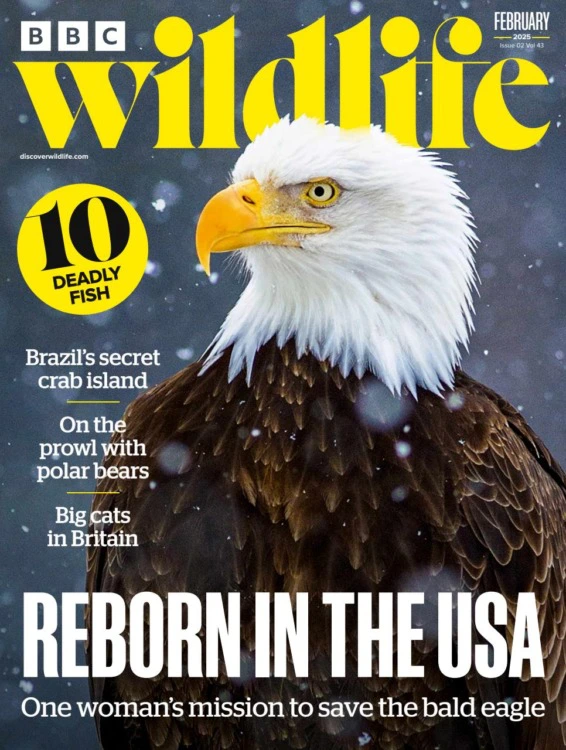 BBC Wildlife Magazine February 2025/526 - Mags Direct