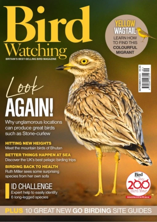 Bird Watching Magazine September 2025 - Mags Direct