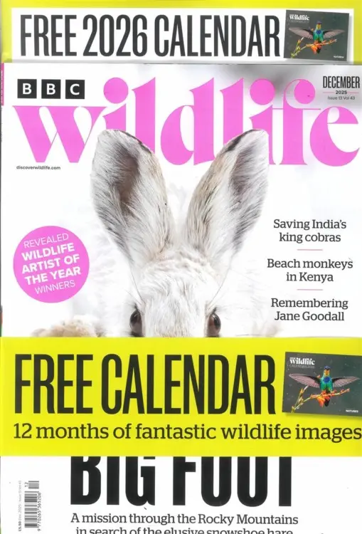 Bbc Wildlife Magazine Dec 25 537 Mags Direct