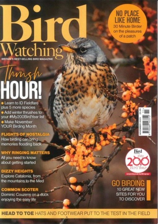 Bird Watching Magazine November 2025 - Mags Direct